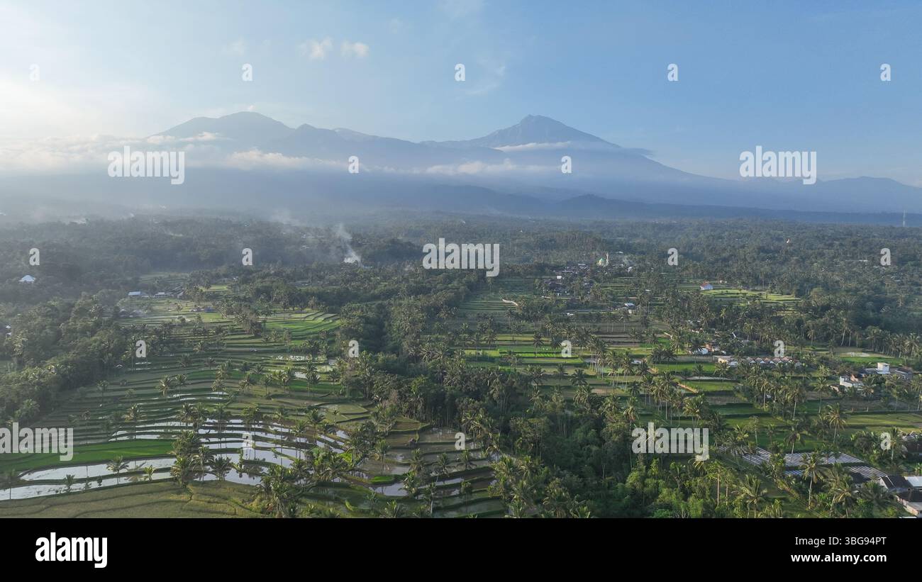 A breathtaking aerial view of lush rice terraces unfolds beneath the ...