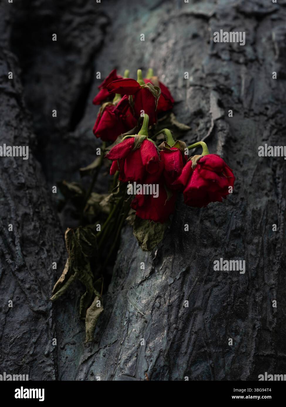 Red roses left on a statue Stock Photo - Alamy