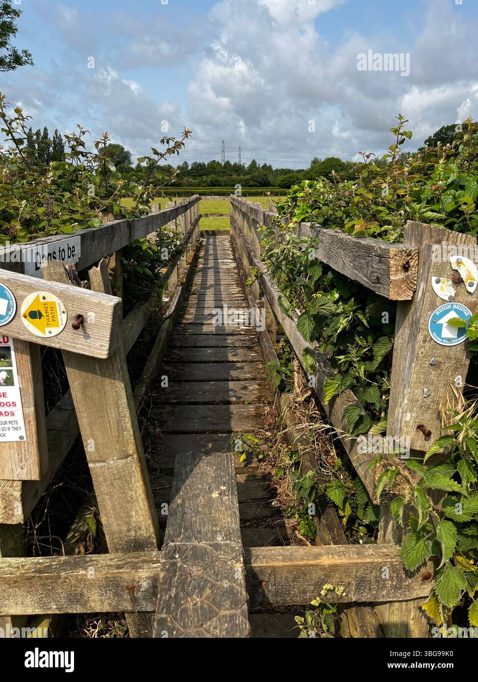 Footpath bridge in the Cotswolds Stock Photo - Alamy
