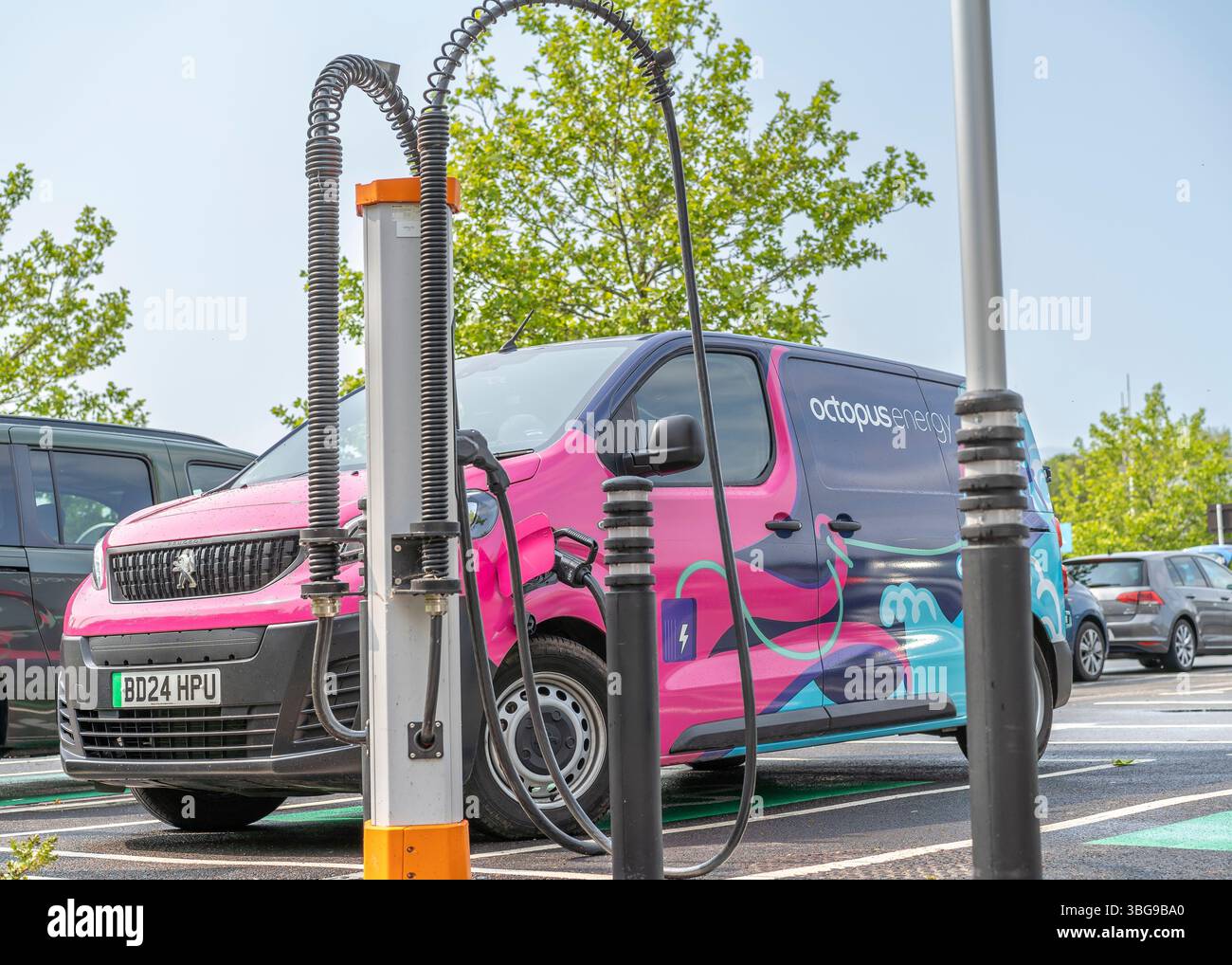 Front to side view of a pink and blue electric powered Octopus energy ...