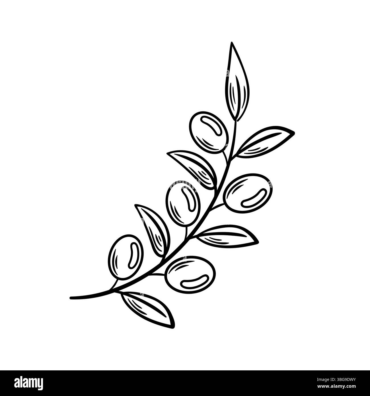 Gourmet finger food olives Stock Vector Images - Alamy