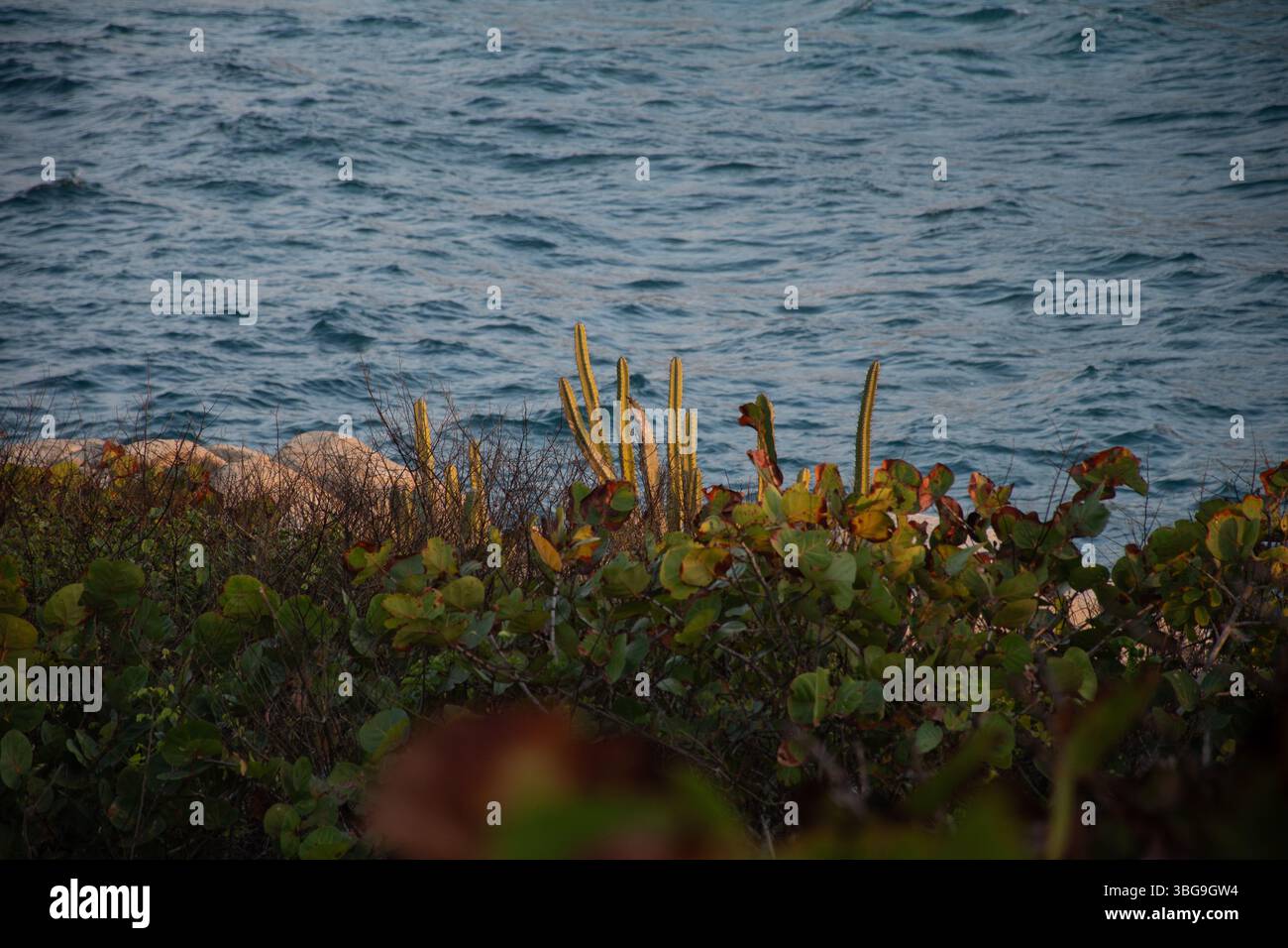 Sunset caribbean sea colombia hi-res stock photography and images - Alamy