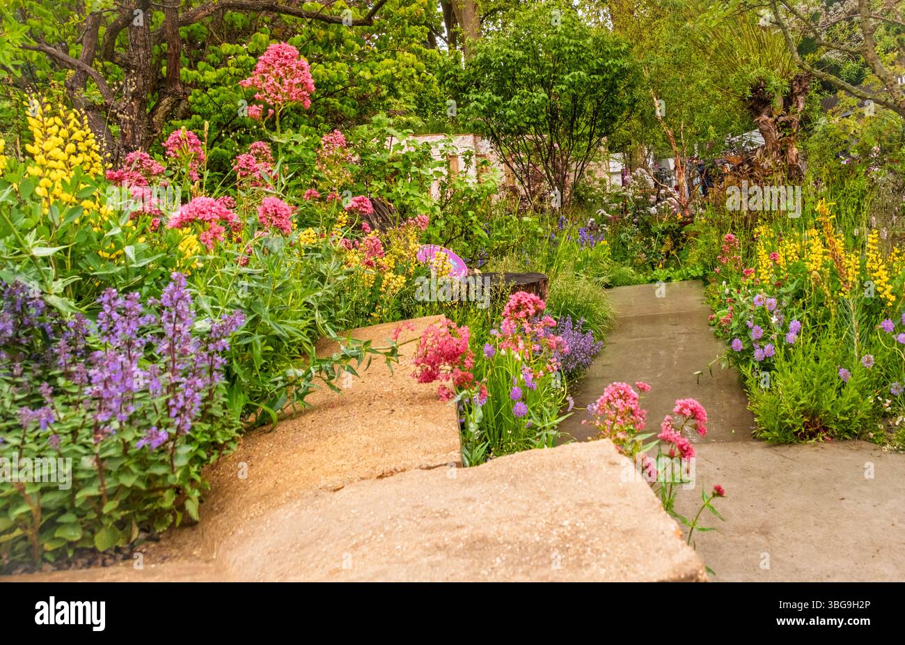 The Avanade Intelligent garden at the 2025 Chelsea flower Show in ...