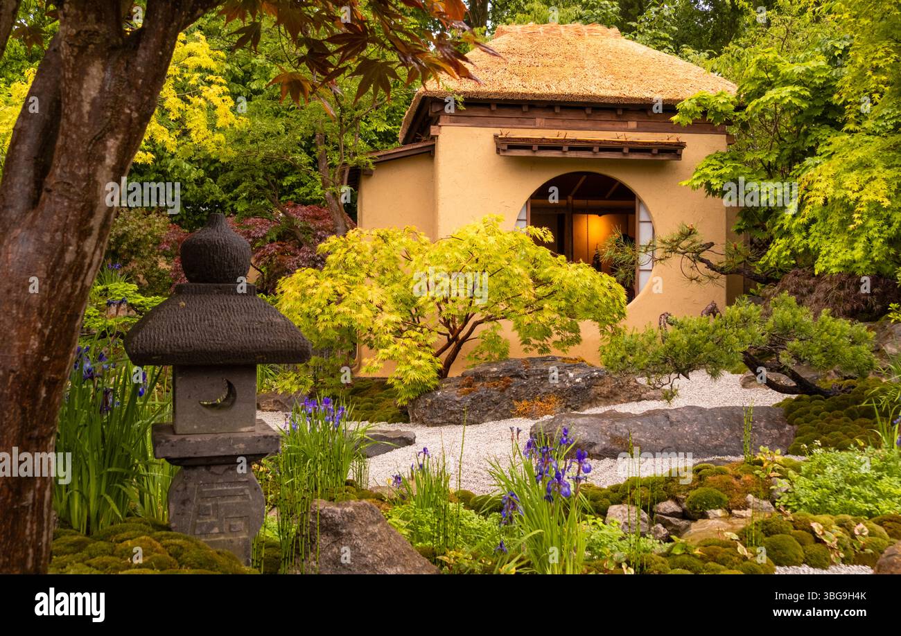 The Cha No Niwa - Japanese tea garden at the Chelsea Flower Show 2025 ...