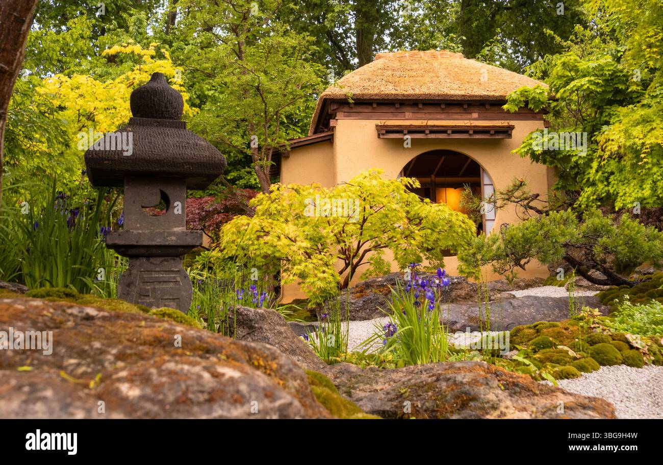 The Cha No Niwa - Japanese tea garden at the Chelsea Flower Show 2025 ...