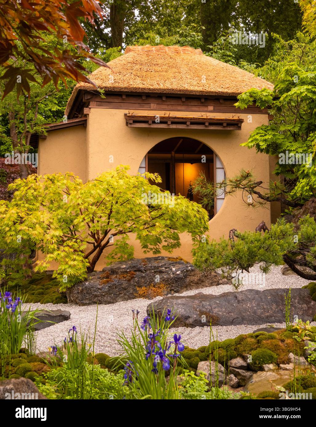 The Cha No Niwa - Japanese tea garden at the Chelsea Flower Show 2025 ...
