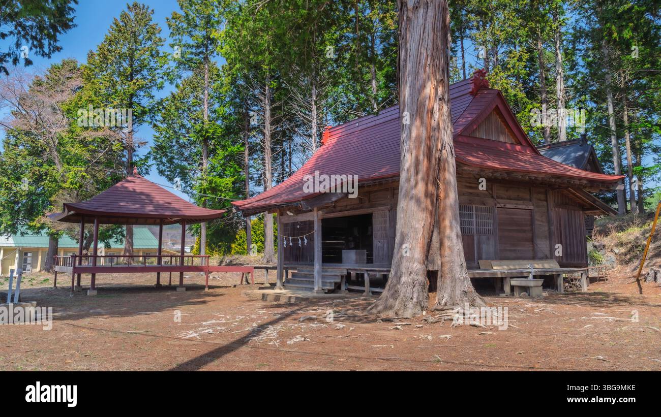 Traditional Shinto shrine with red roof surrounded by cedar and pine ...