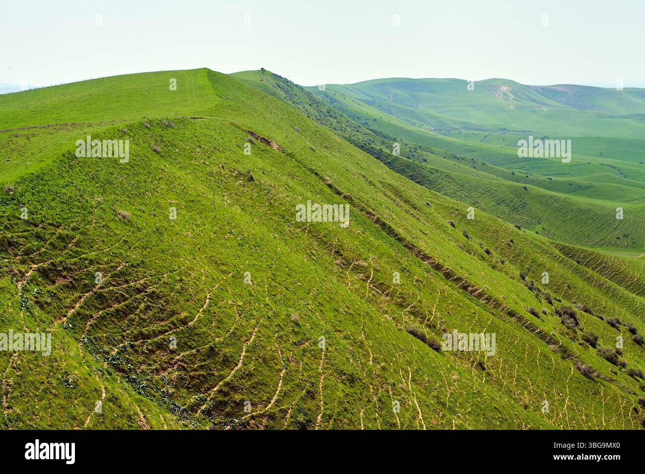 Gently rolling green hills with visible trails in the rural landscape ...