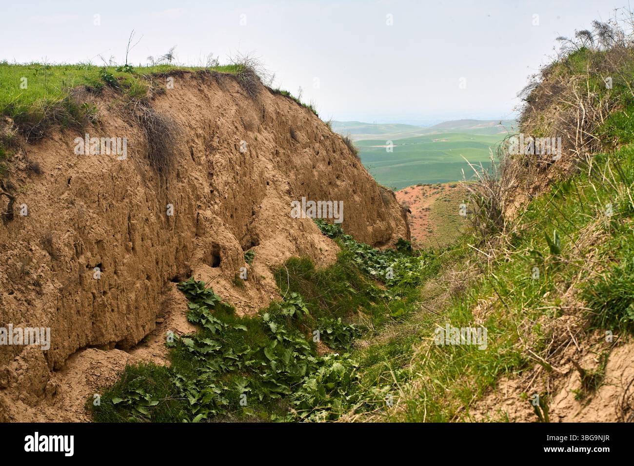 A cross-section of a slope where a landslide has exposed layers of soil ...