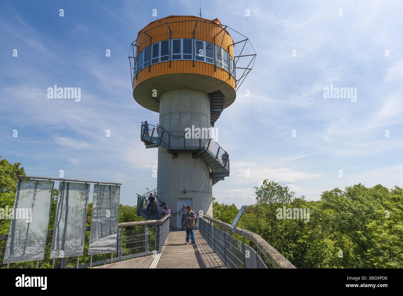 Viewing platform on the treetop walk in the UNESCO World Heritage Site ...