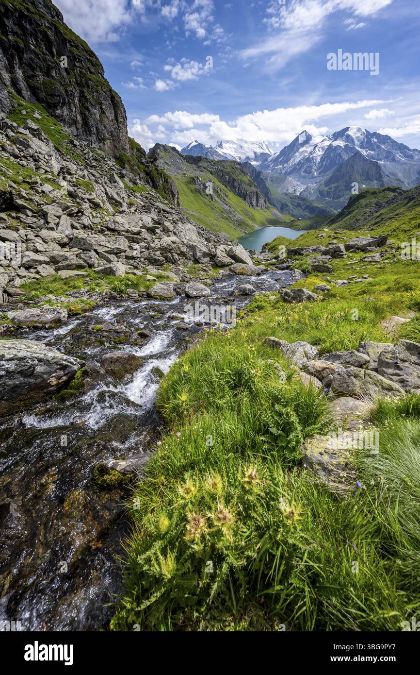 Mountain stream in picturesque mountain landscape, view of mountain ...