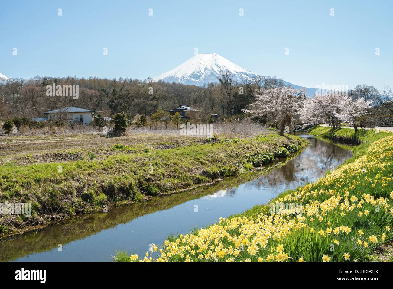 Spring of Oshino Hakkai countryside village and Fuji Mountain in ...