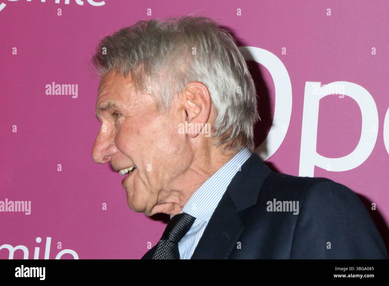 June 4, 2025, Los Angeles, Ca, USA: LOS ANGELES - JUN 3: Harrison Ford ...
