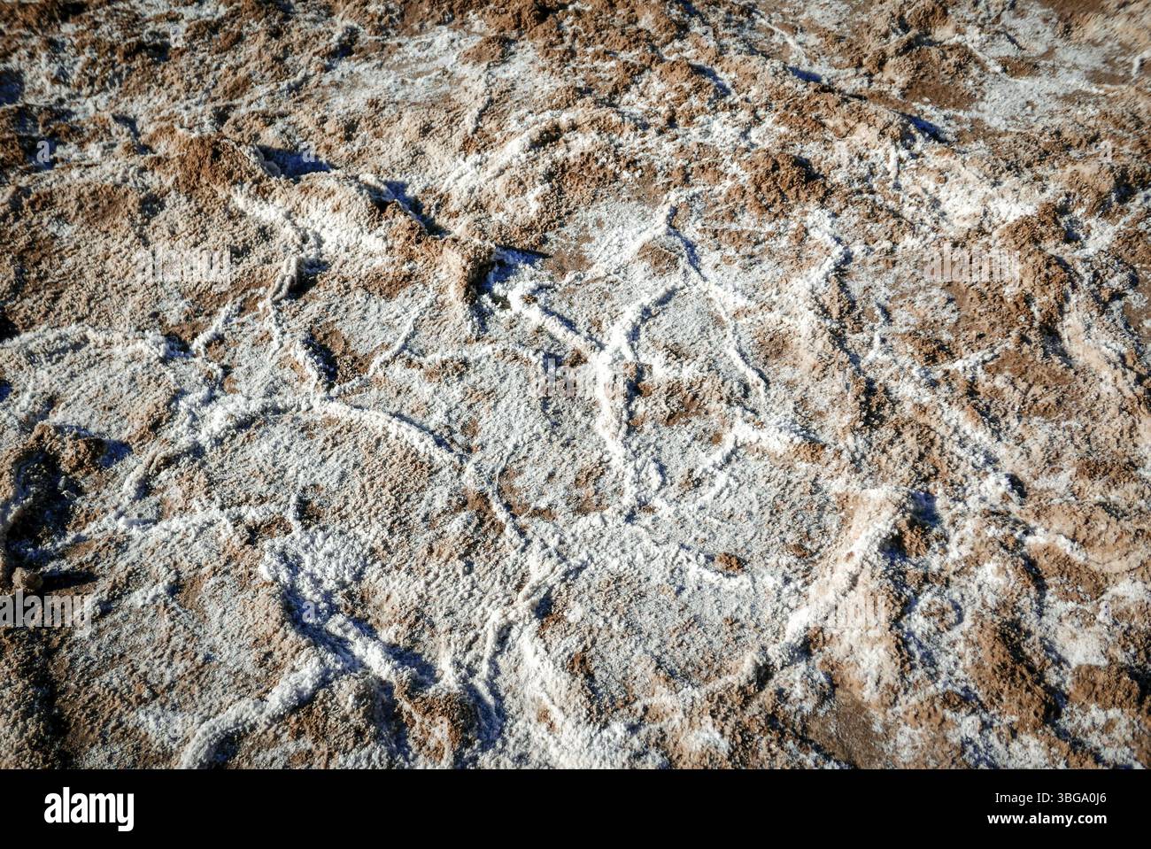 Badwater Basin salt plain salt octagon Stock Photo - Alamy