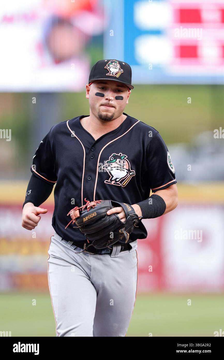 Columbus Clingstones shortstop Cal Conley (13) in action against the ...