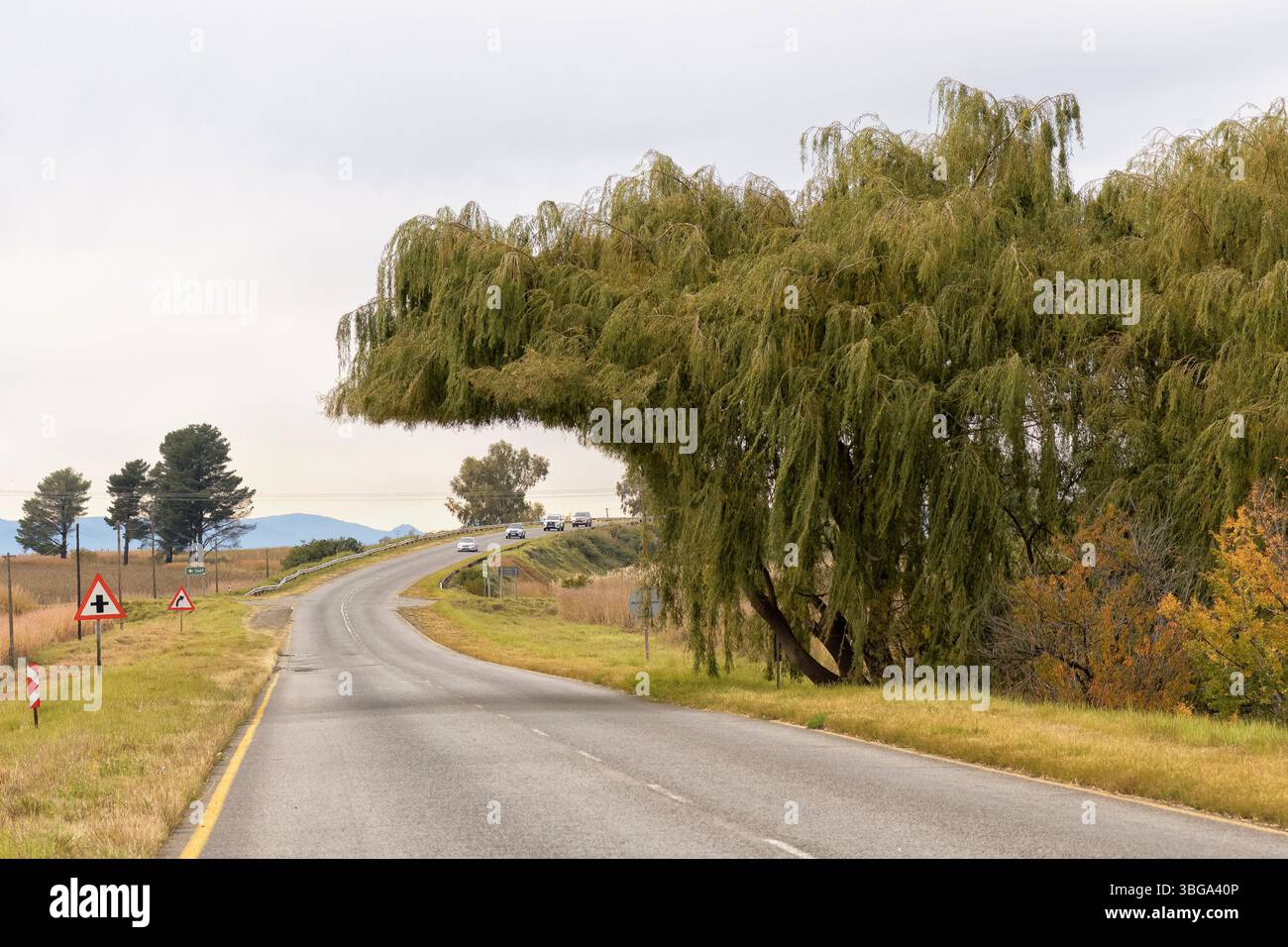 Ficksburg, South Africa - May 3, 2025: Road R26 between Ficksburg and ...