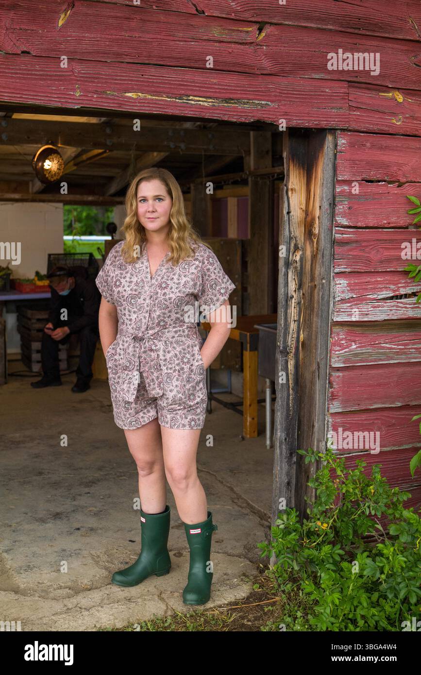 Life and beth amy schumer hi-res stock photography and images - Alamy