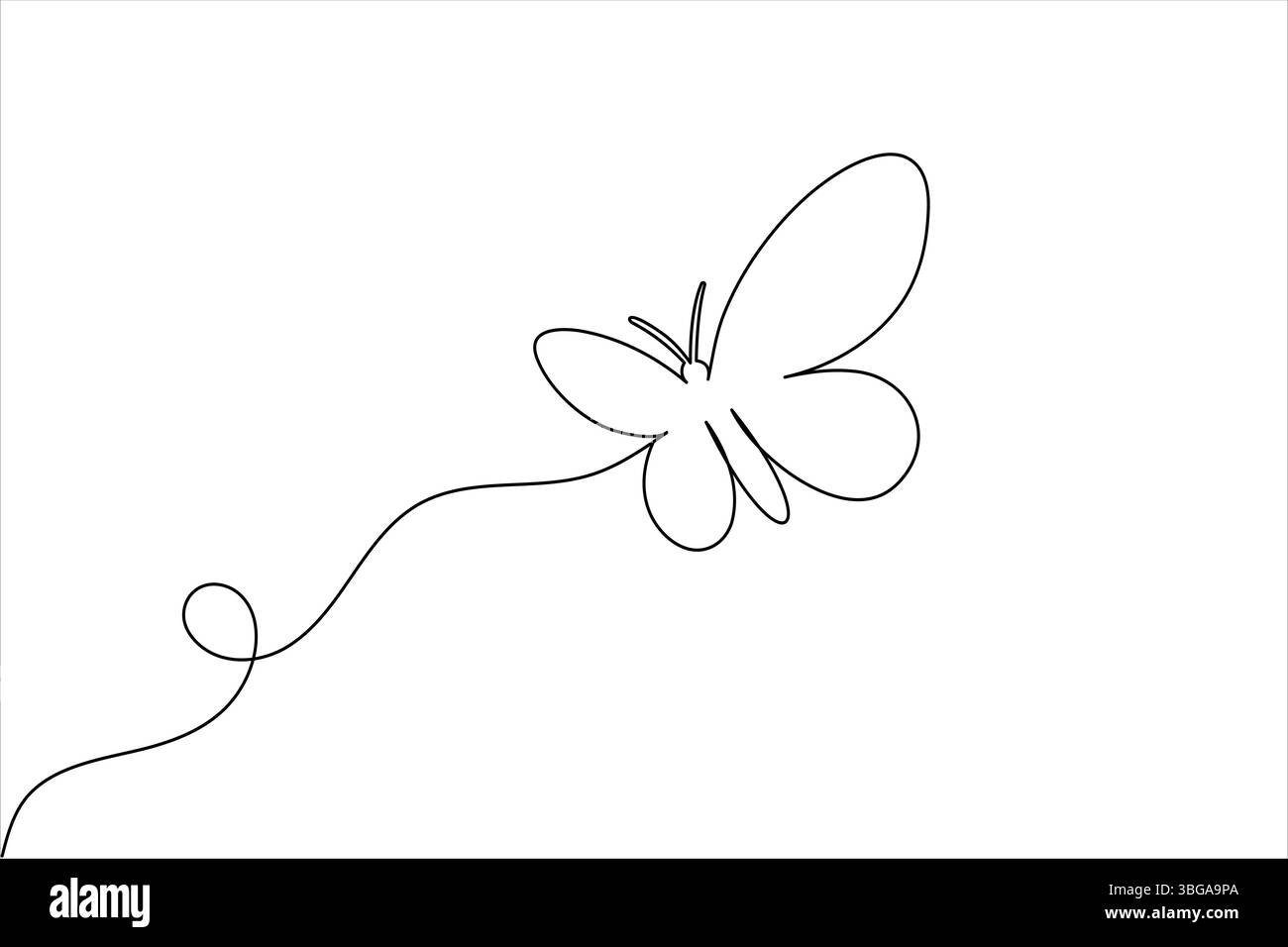 Butterfly line drawing Black and White Stock Photos & Images - Alamy