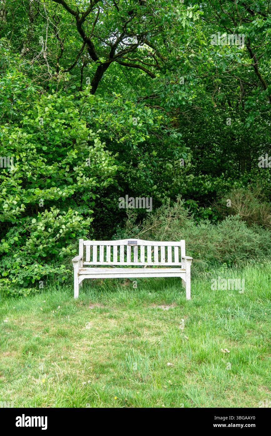 Old vacant wooden bench seat in rural countryside Stock Photo - Alamy