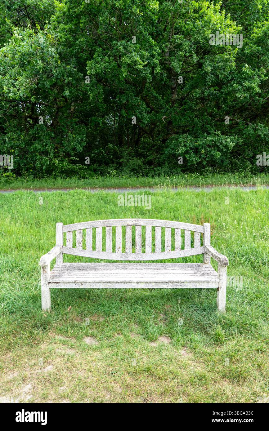 Old vacant wooden bench seat in rural countryside Stock Photo - Alamy