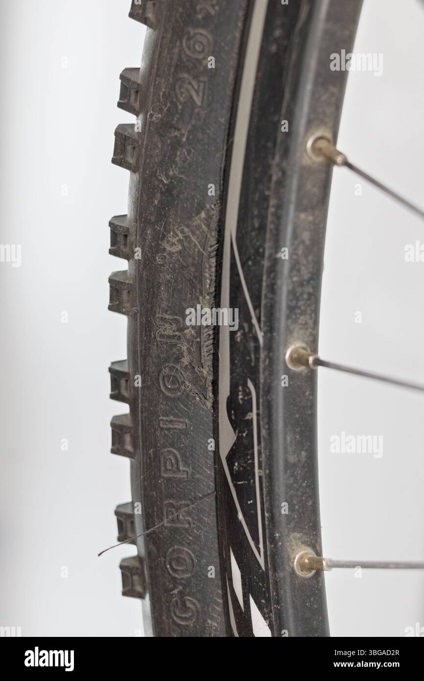 Detailed vertical close-up image of a torn black bicycle tire with ...