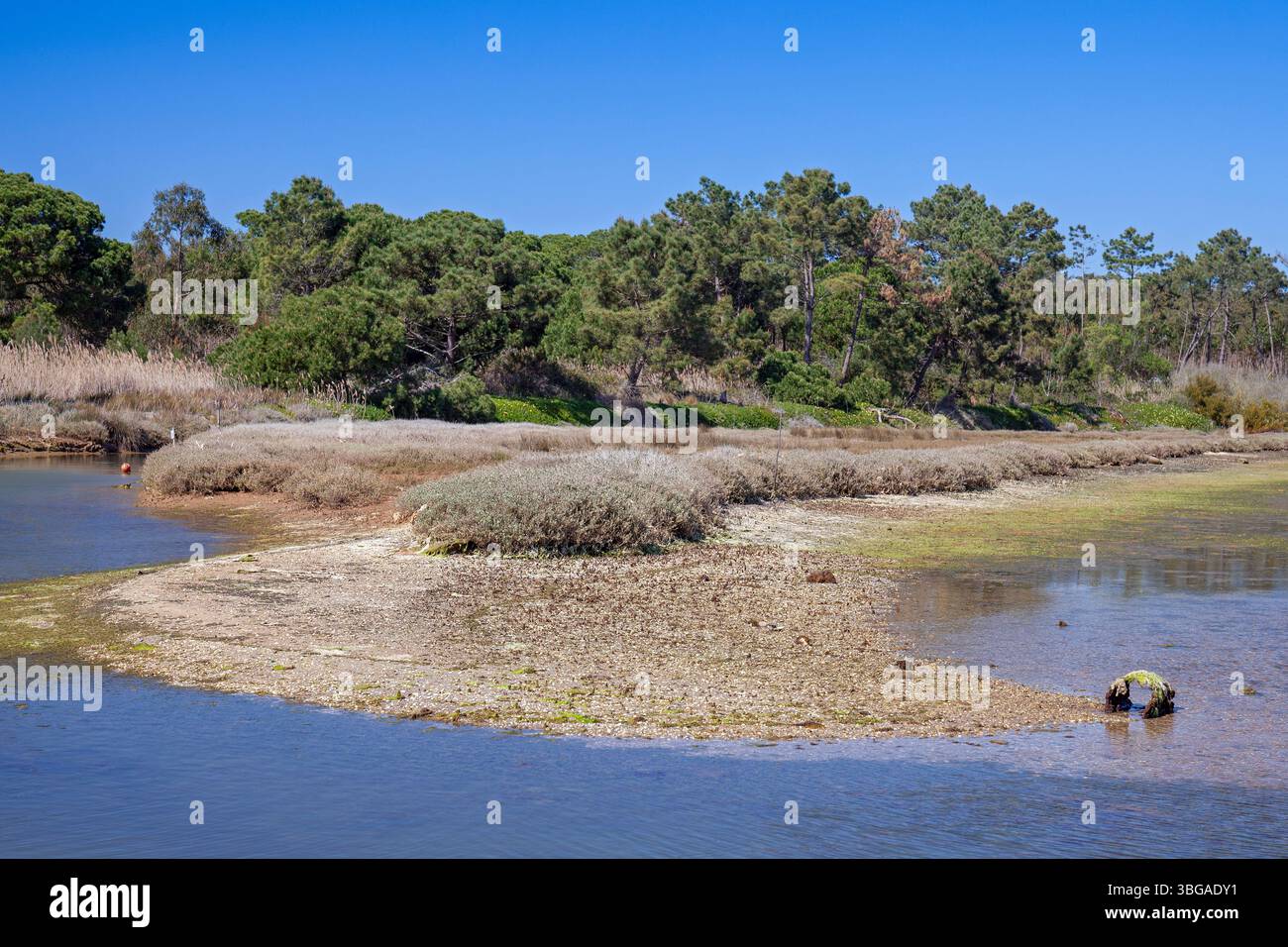 Lagoa de óbidos hi-res stock photography and images - Alamy