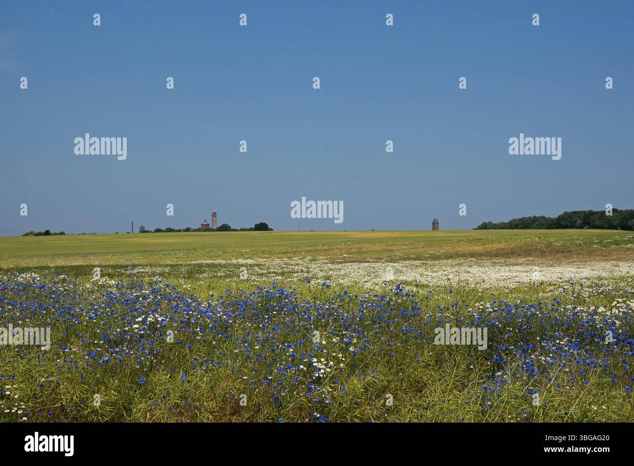 Landscape with lighthouses, Cape Arcona, Ruegen, Germany, Europe Stock ...