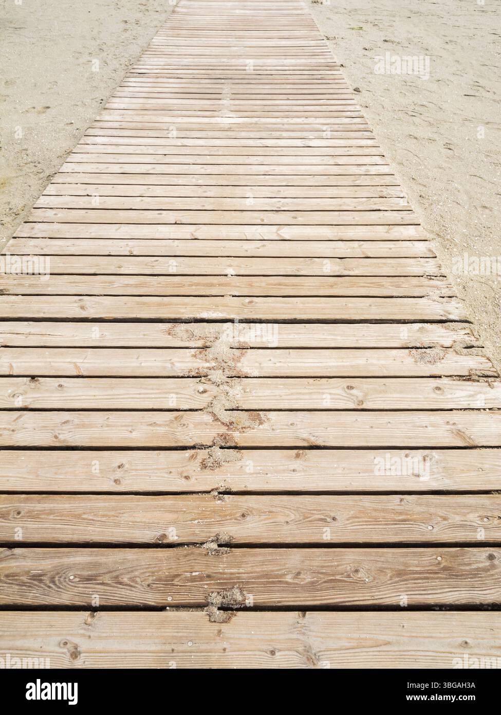 Perspective view of a wooden path leading into the distance on a North ...