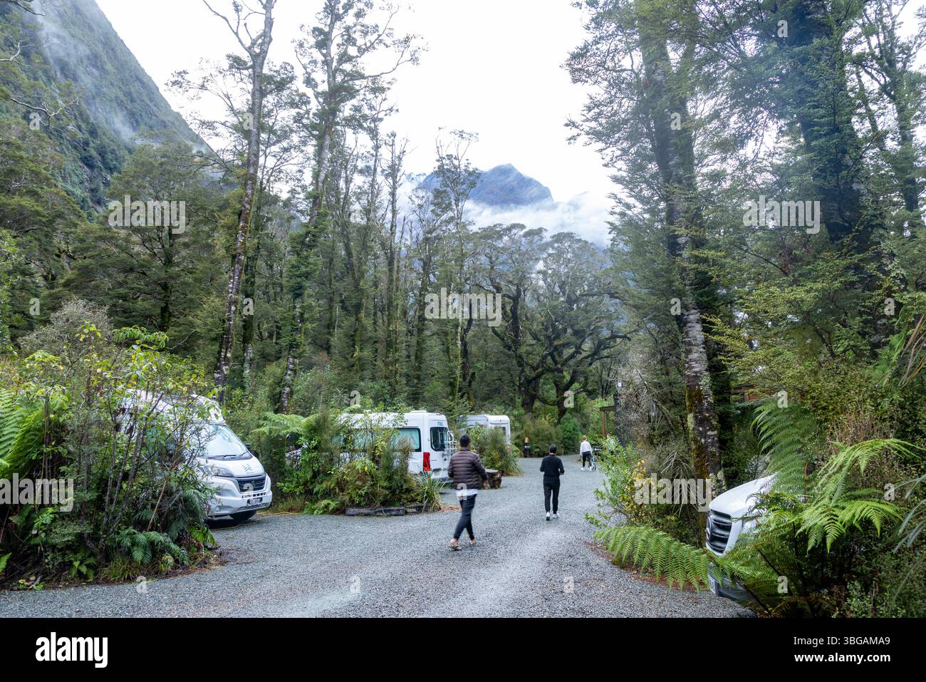 Milford Sound Lodge accommodation and camper van motorhome holiday park ...