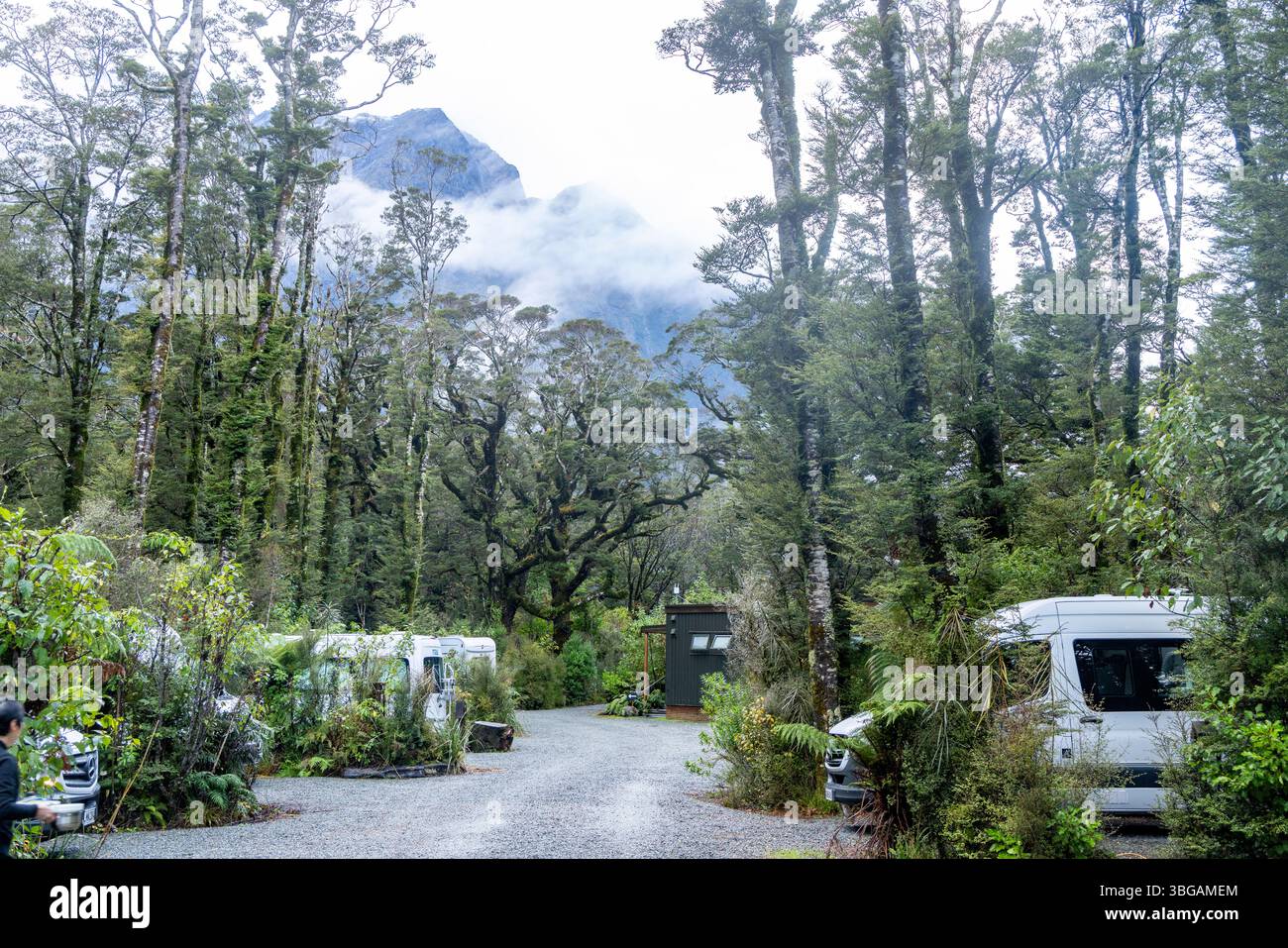 Milford Sound Lodge accommodation and camper van motorhome holiday park ...