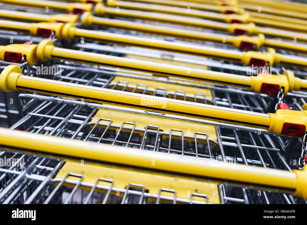 Yellow shopping carts closeup. Metal trolleys stacked in row ...