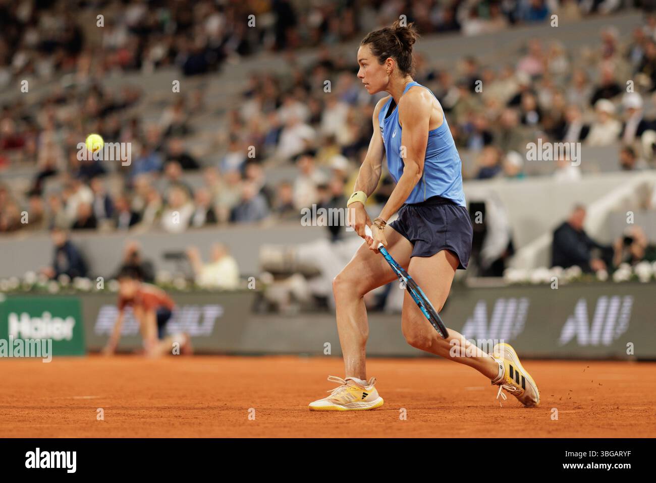 Lois boisson hi-res stock photography and images - Alamy