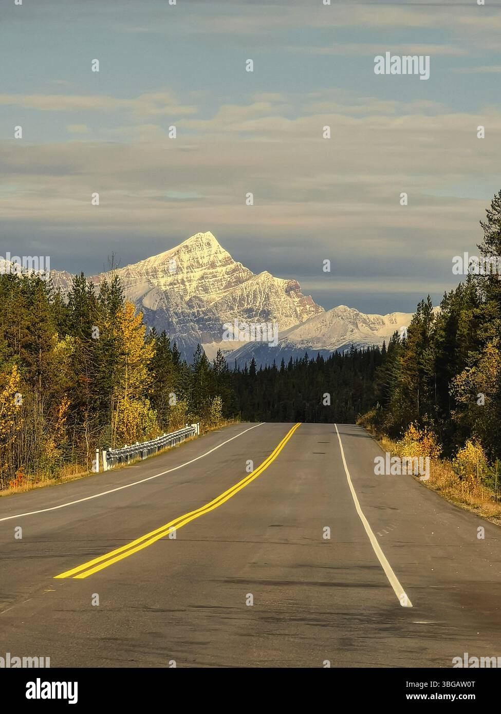 Beautiful autumn landscape scene in mountain in background in Jasper ...