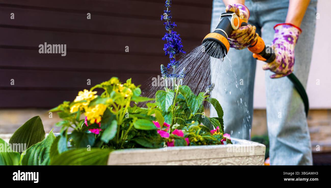 Woman watering flowers spray gun hi-res stock photography and images ...