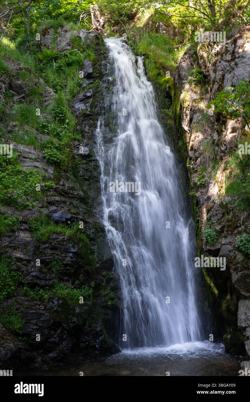 Todtnau Waterfall in the Black Forest Stock Photo - Alamy