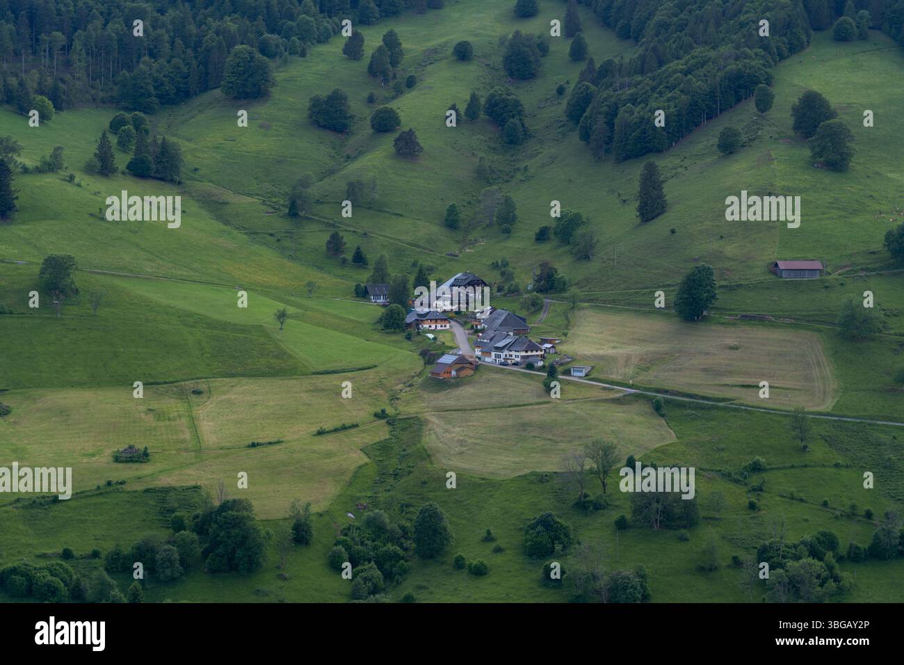 Panoramic view black forest hi-res stock photography and images - Alamy