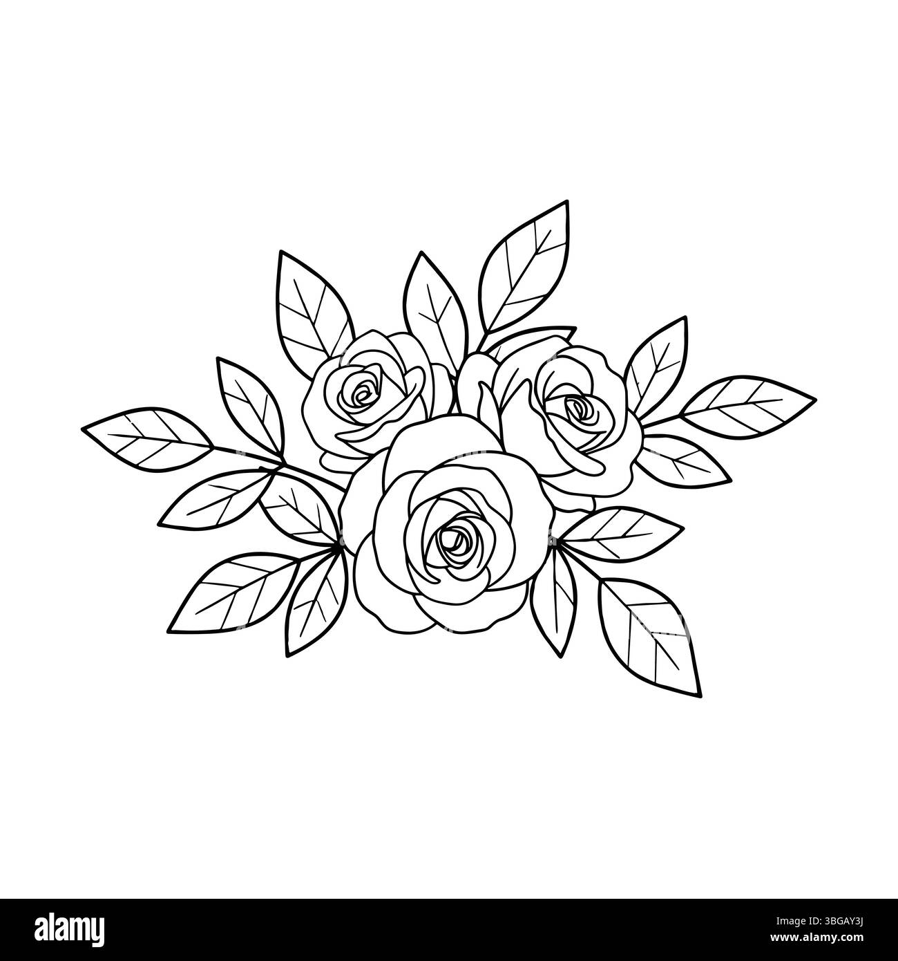 Minimalistic rose flowers, buds, leaves and branches in line style ...