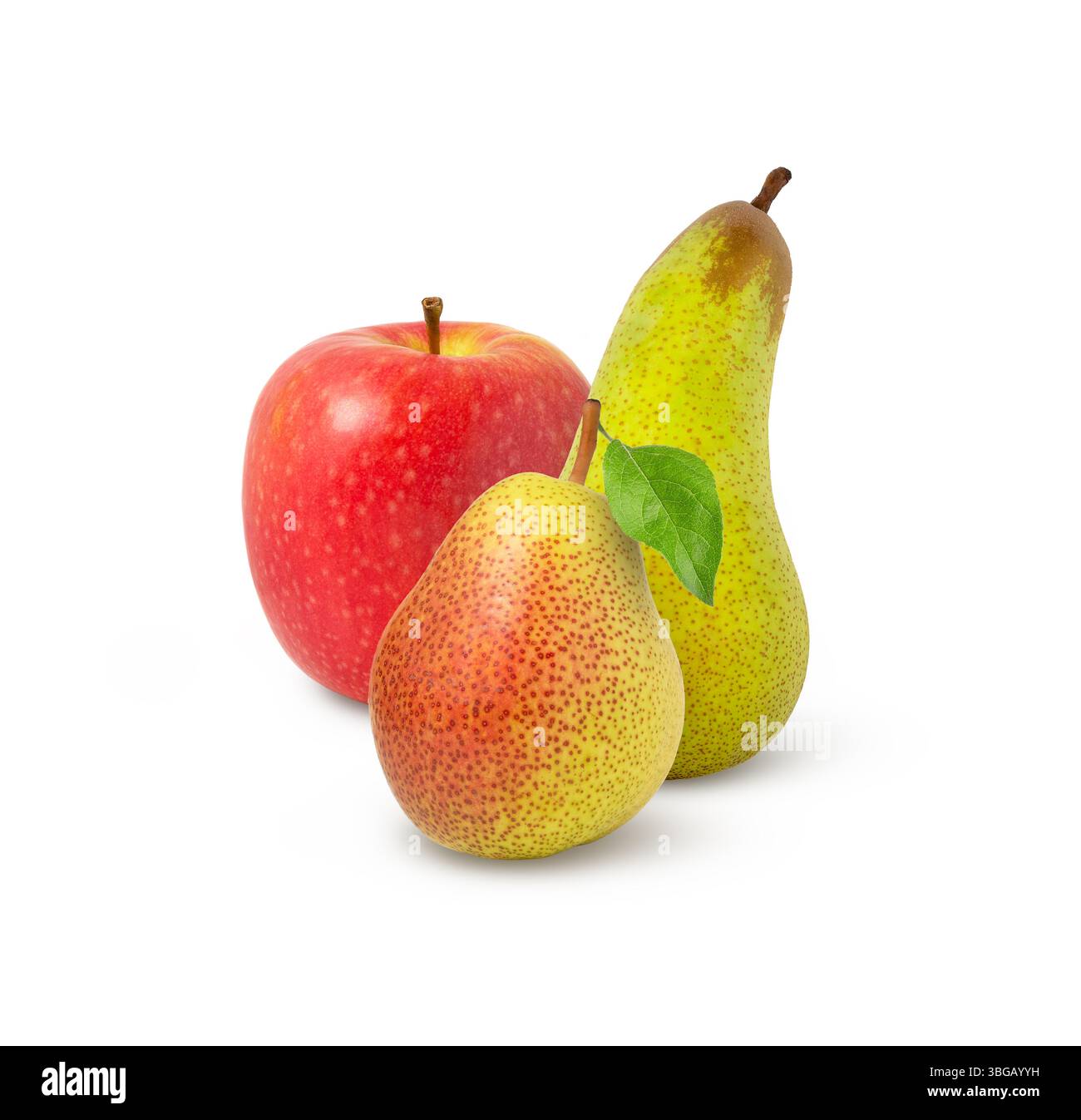Fruit mix of red apple and conference pear and red pear with leaf ...