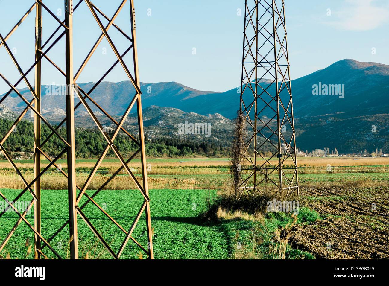 Electric columns next to farmland Stock Photo - Alamy
