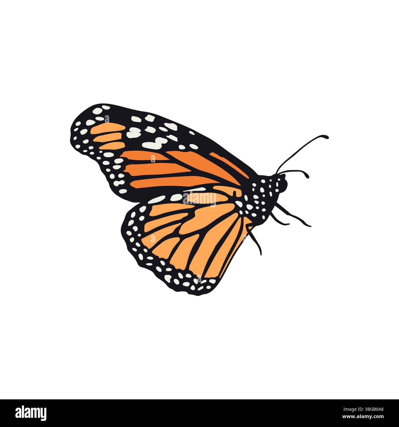 Hand drawn orange monarch butterfly clip art Stock Vector Image & Art ...