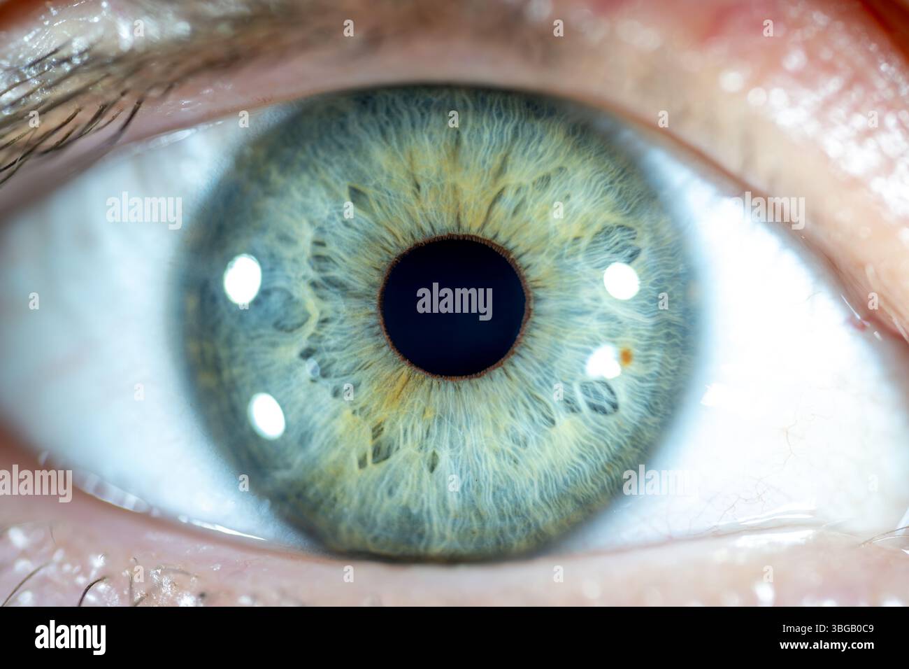 Description: Close -up of female eye with green blue coloured closed ...