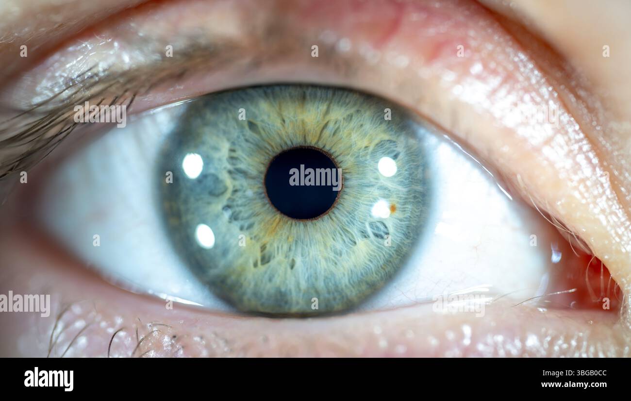 Description: Female eye with green blue coloured closed iris ...