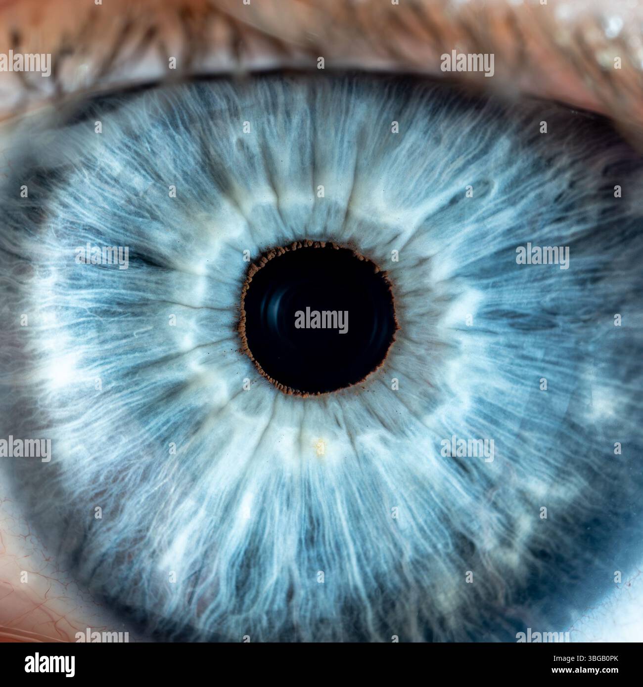 Description: Close-up of male eye with blue coloured closed iris ...