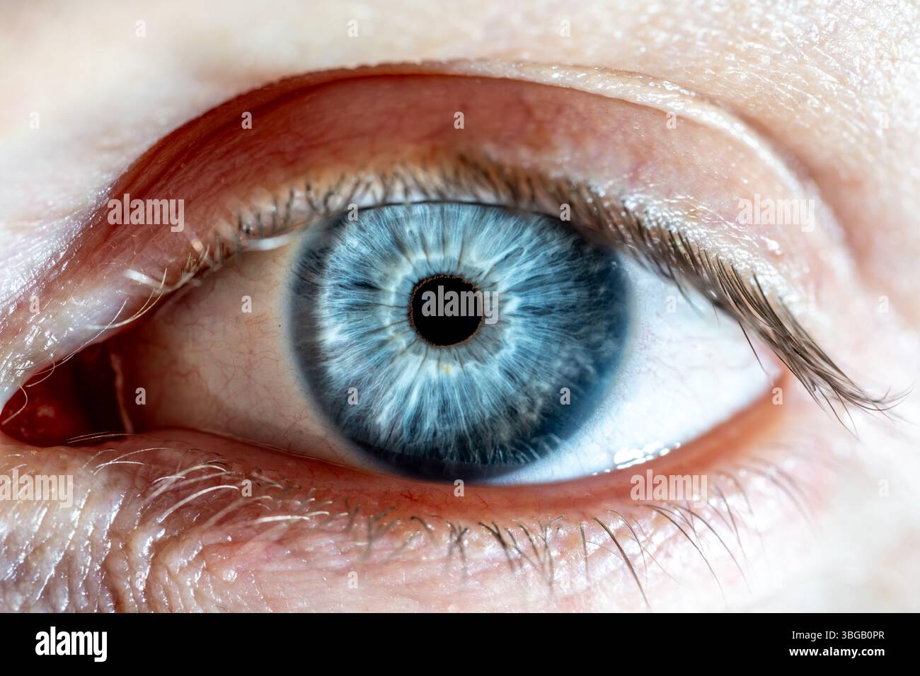 Description: Male eye with blue coloured iris. Structural and ...