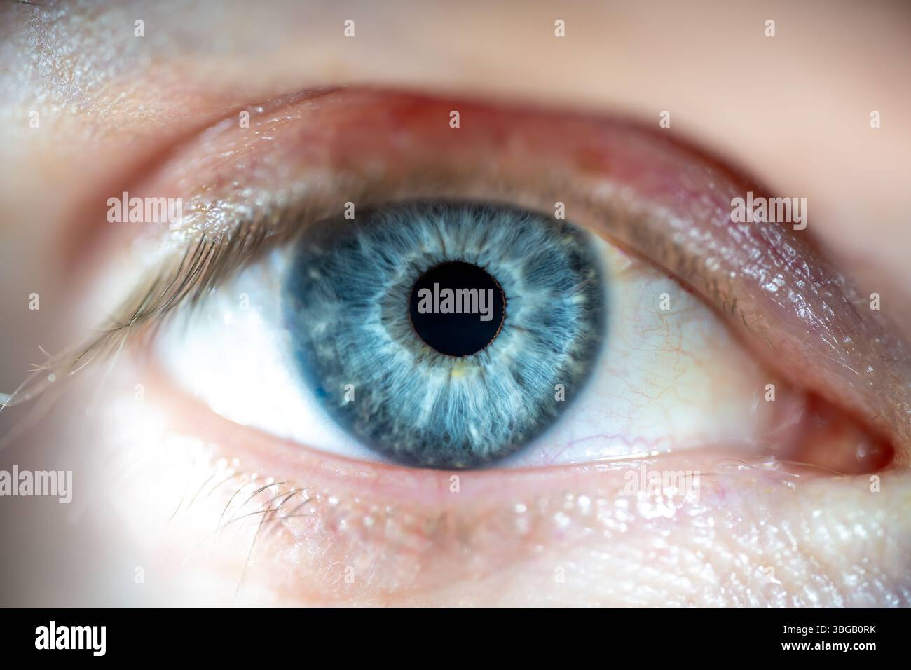 Description: Male eye with blue coloured iris. Structural and ...