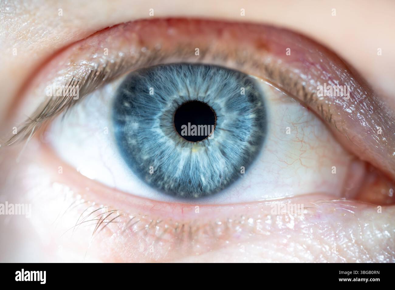 Description: Male eye with blue coloured iris. Structural and ...