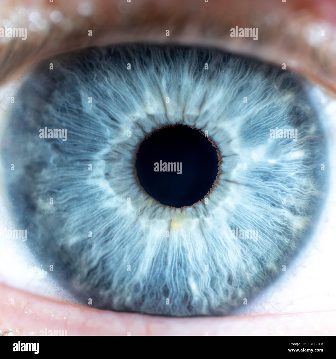 Description: Close-up of male eye with blue coloured closed iris ...