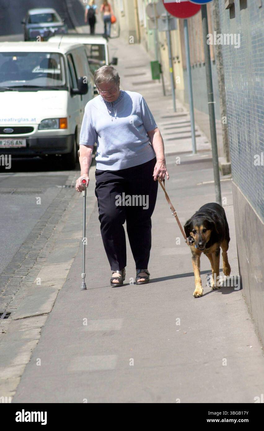 the pet owner taking the dog for a walk outside pet owner taking dog ...