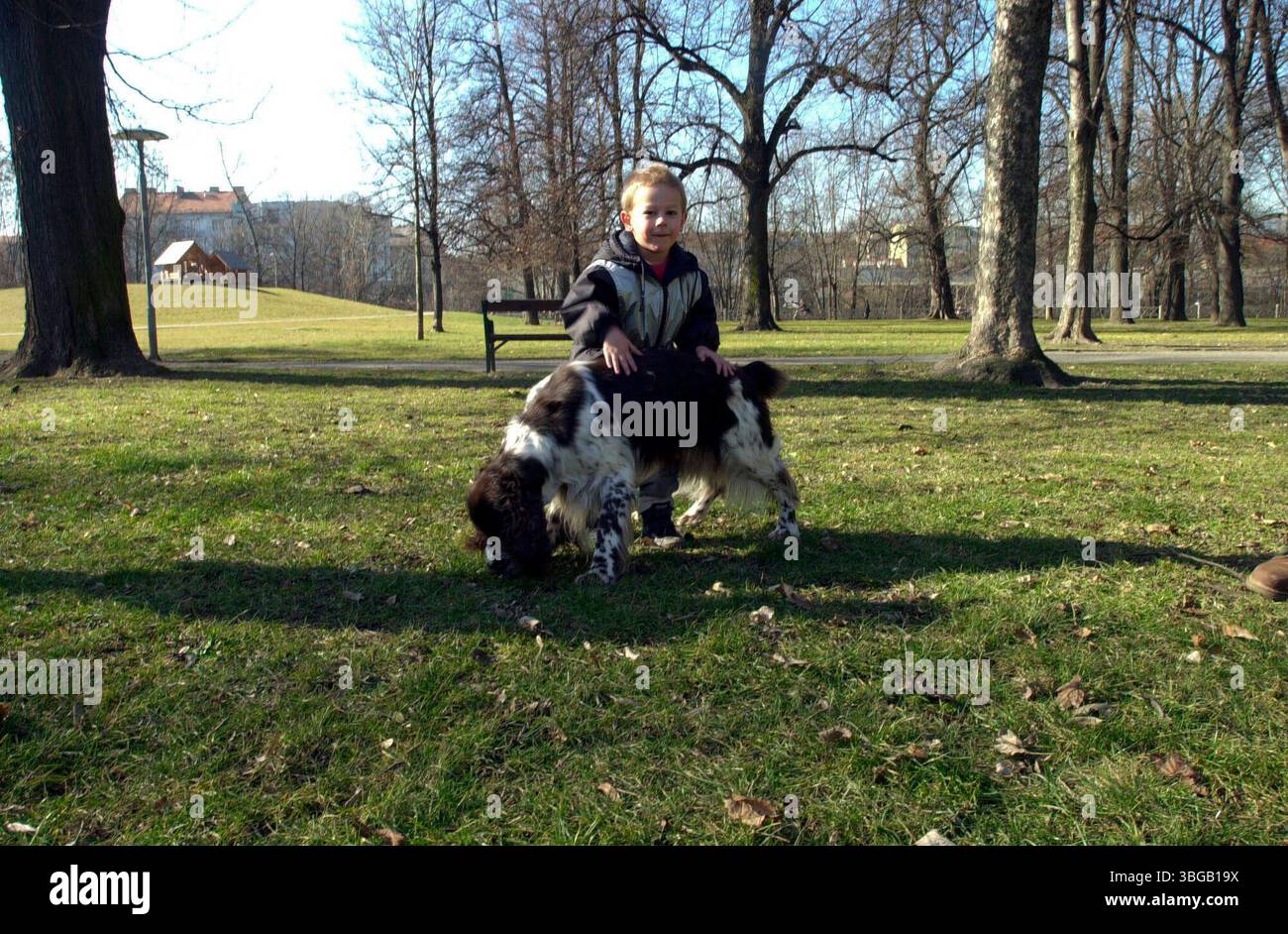 pet owner taking the dog for a walk in the park taking dog for a walk ...