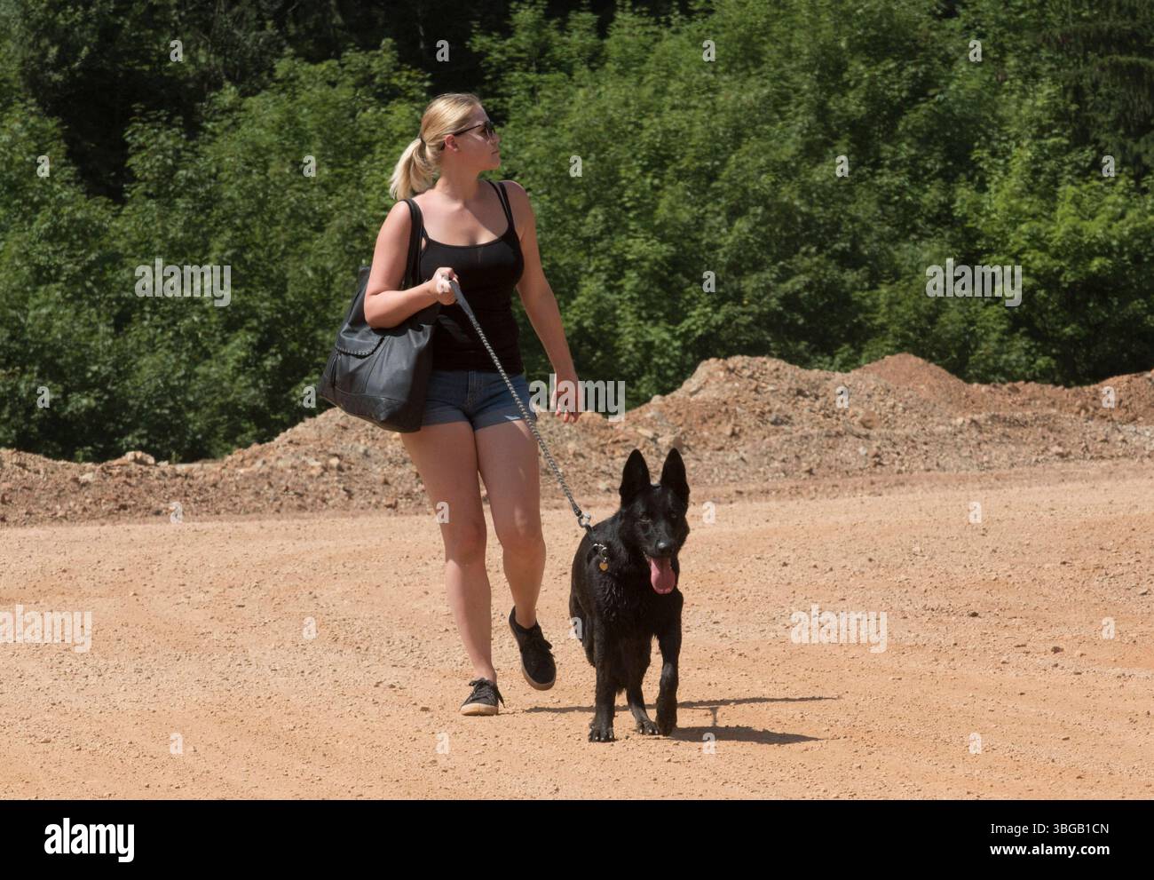 the pet owner taking the dog for a walk outside pet owner taking dog ...